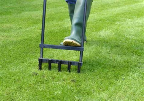 Things You Need To Do To Prepare Your Lawn For Spring
