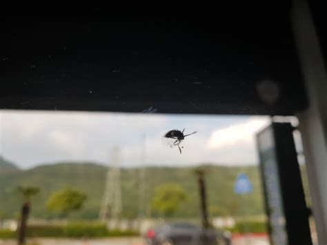 거제유리복원 거제자동차유리복원 거제차유리돌빵 거제유리용접 거제 덴트하우스 상동점 전면유리복원 덴트하우스 상동점