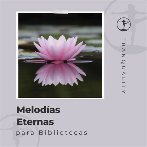 Melodías Eternas Para Bibliotecas Album By Musica Relajante Para