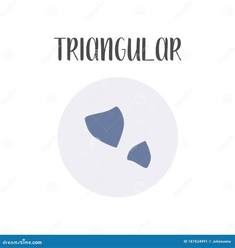 Triangular Bacteria Bacteria Classification Irregular Shapes Of