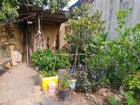 ដីលក់ក្រុងសៀមរាបទទឹង10ម៉ែត្រ បណ្ដោយ១៥ម៉ែត្រ ទ Price 40000 00 In Sla Kram Krong Siem Reab Siem