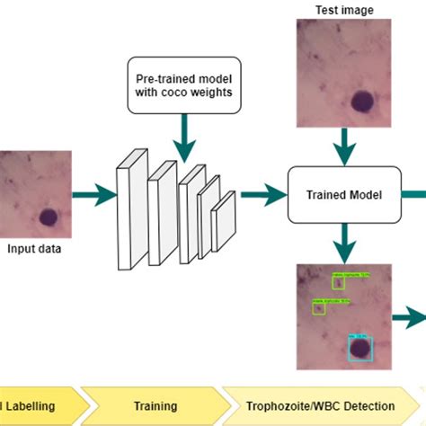 Pipeline For Our Automated Mobile Aware Localization Of Malaria