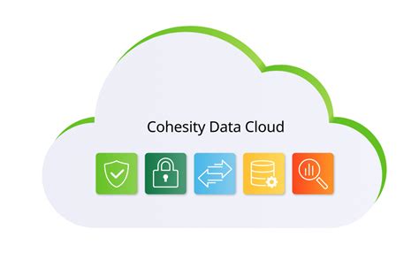Cohesity Data Cloud Cohesity Vast It Services