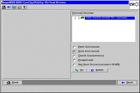 Lsi Megaraid Storage Manager Background Initialization Cosmeticslop