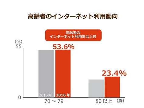高齢者の半数以上は未だインターネットを使わない！近年の利用率上昇では普及には程遠い？｜ニッポンの介護学｜みんなの介護求人
