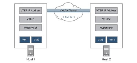Vlan X Vxlan Qual A Melhor Solução Para Segmentação De Rede