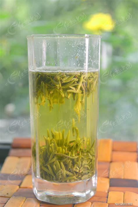 一杯蒙顶黄芽 高清图片下载 红动中国