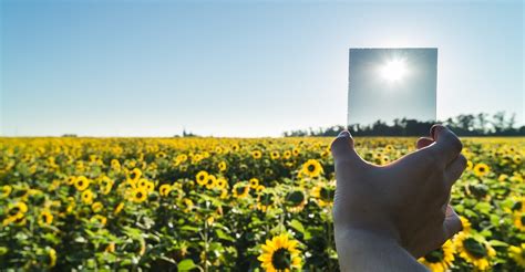 How And When To Use A Filter Cheat Sheet With Tips Modern Lens Magazine