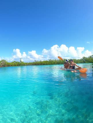 Clear Kayak Boat Tour In Turks And Caicos Turks Ventures Ventures