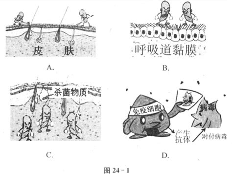 活动二 关注癌症的危害 请查阅有关资料 了解自然环境和生活方式中的致癌因素 青夏教育精英家教网