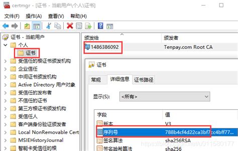 详解从p12证书提取rsa公私钥和序列号（小白向） csdn博客