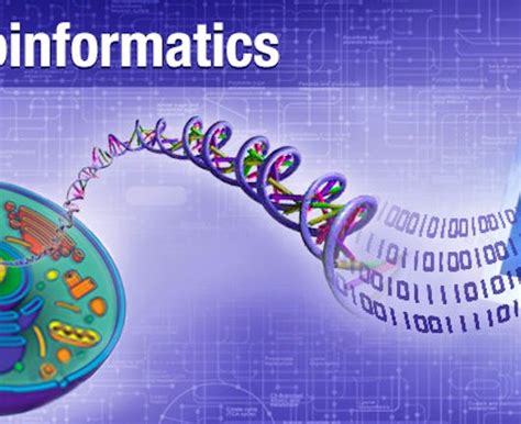 Best Bioinformatics Courses And Certificates 2025 Coursera Learn Online