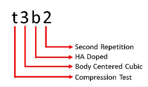 Explanation Of Specimen Coding Download Scientific Diagram