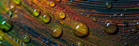 물 방울 테마 벽지 배경으로 덮여 다채로운 여러 가지 빛 페인트 선택적 초점 배너멀티 컬러 추상화 환상적인 최면 표면 추상 패턴