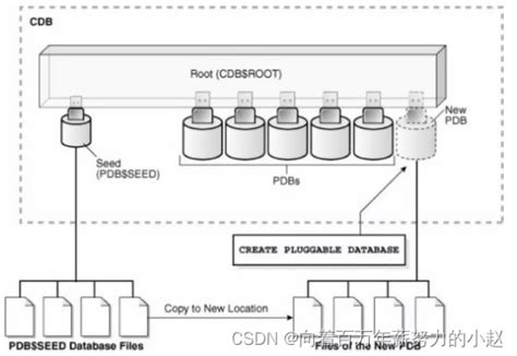 oracle容器数据库的安装和使用 csdn博客