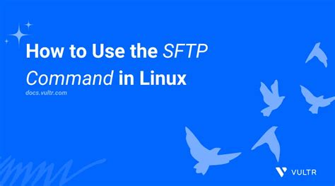 How To Use The Sftp Command In Linux Vultr Docs How To Use The Sftp Command In Linux Vultr Docs