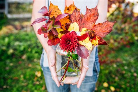 Como Cuidar Das Plantas No Outono Blog Da Plantei