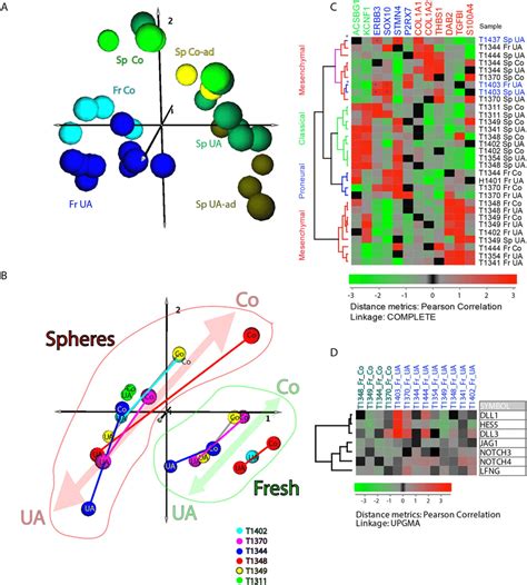 Gene Expression Profiling Of The UA And Co Samples A Global