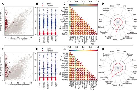 Experimental Evidence Supports A Sex Specific Selective Sieve In