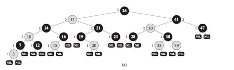 Exploring Graphing Algorithms In Computer Science By Garrett Codes Medium