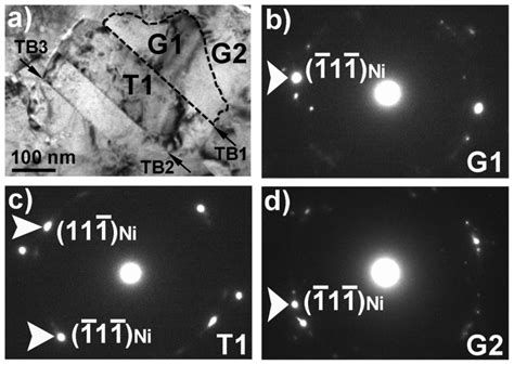 Tem Image Shows The Area Where In Situ Nanoindentation Experiments Were Download Scientific