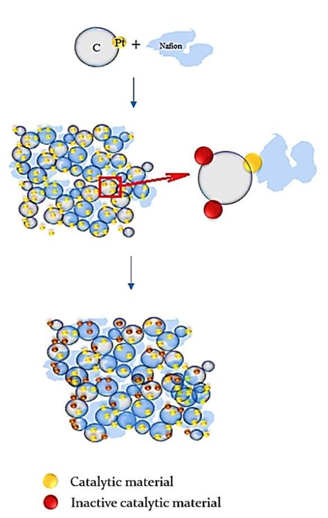 Catalytic Layer Of Pemfc Catalytically Active Pt Yellow Inactive Download Scientific