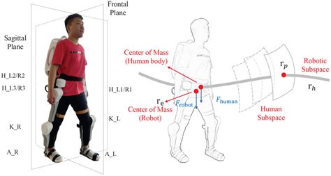 Schematic Of The Cooperative Human Robot Structure Framework Download Scientific Diagram