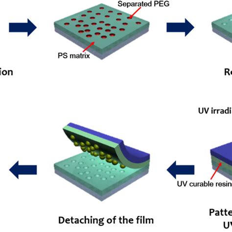 The Fabrication Process Of The Phase Separation Film And Transferring Download Scientific