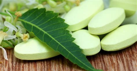 Neem What It Is Benefits Uses Risks And Side Effects