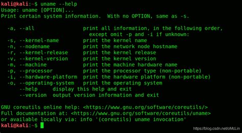 快速学习kali Linux的22个基本命令kali Linux命令 Csdn博客