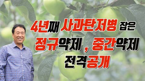 홍로사과 탄저병 4년째 잡은 전북 무주 김상회 사장님 비법 Youtube