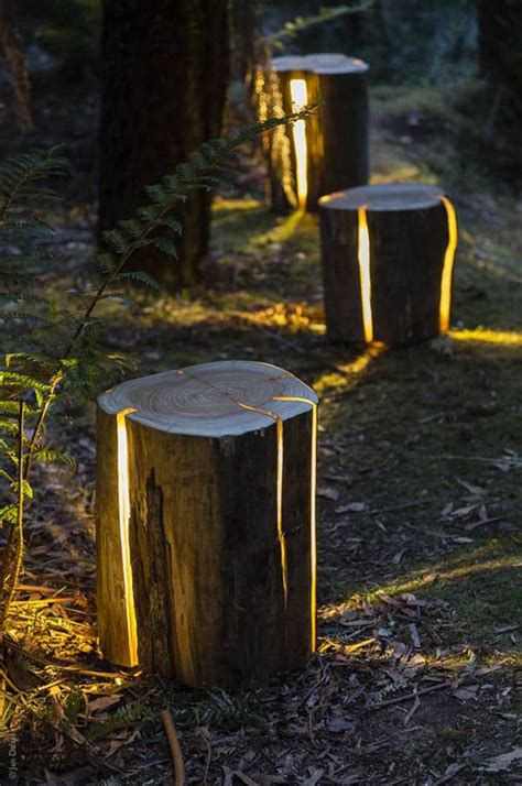 Creative Ways To Use Tree Logs For Stunning Garden Projects