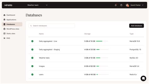 Database Hosting For All Your Web Projects Kinsta®