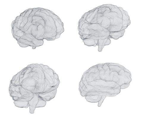 Premium Vector Set Threedimensional Vector Cyber Brain Neural Network