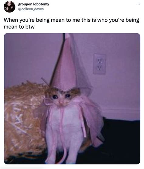 This Is Who You Re Being Mean To Image Gallery Know Your Meme