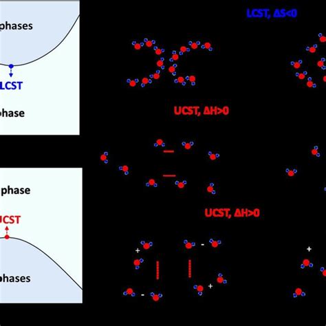 Phase Diagrams Of Thermoresponsive Polymer Solutions With Lcst Or Ucst Download Scientific