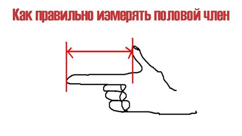 Как правильно измерить длину полового члена Youtube