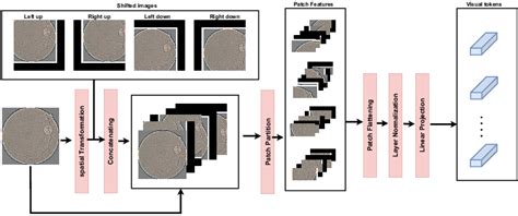 Shifted Patch Tokenization Download Scientific Diagram