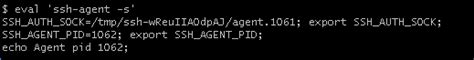 Cara Menambahkan Ssh Key Dan Ssh Agent Dengan Gitbash Di Windows