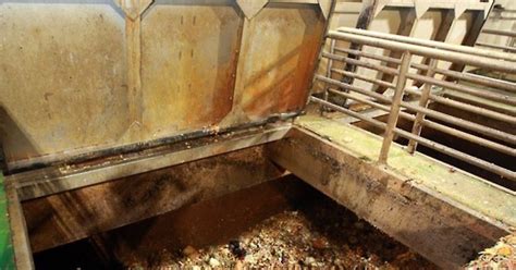 가득 찬 음식물 쓰레기