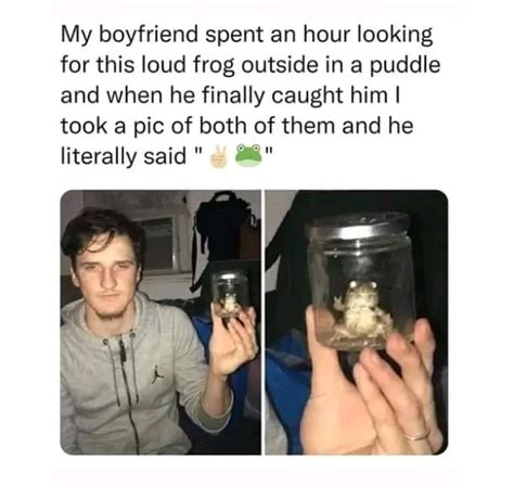 The Most Chill Frog R Wholesomememes