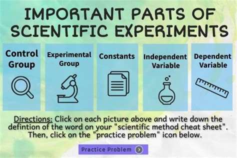 7th Grade Parts Of Scientific Experiments