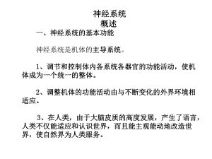 神经系统总论PPT课件