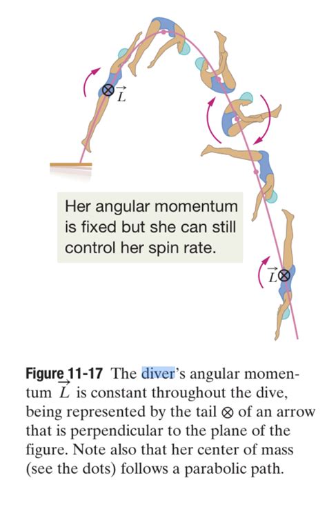 Conservation Of Angular Momentum Even Though There Is Torque Physics