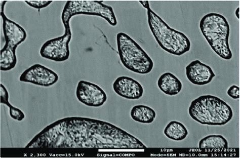 Low Chromium Cast Iron Microstructure Modified With Feb12 Â2300