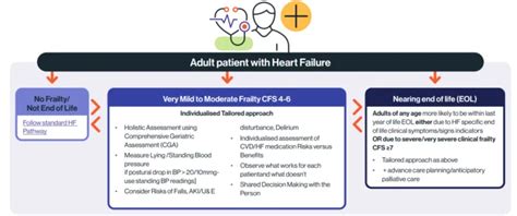 Launching The Frailty First And End Of Life Practical Management