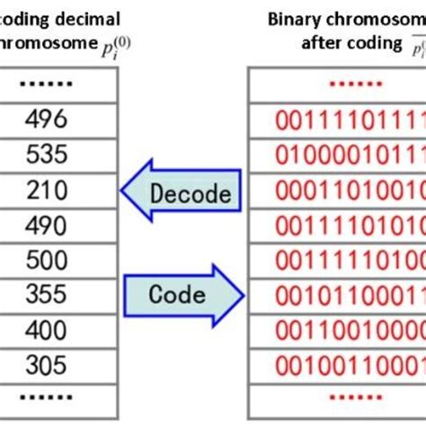 Schematic Diagram Of Genetic Coding And Decoding Download Scientific Diagram