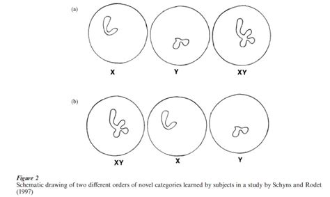 Feature Representations In Cognitive Psychology Research Paper Iresearchnet