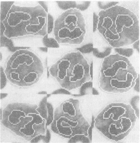 Typical Scene Segmentation Results Download Scientific Diagram