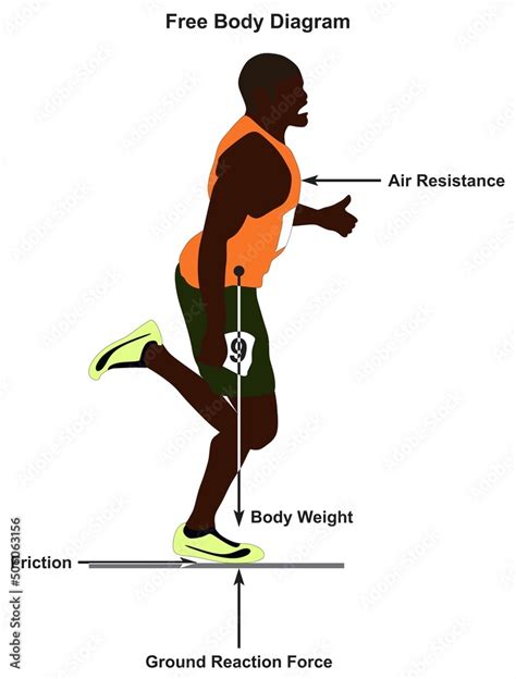 Force Vector Drawing